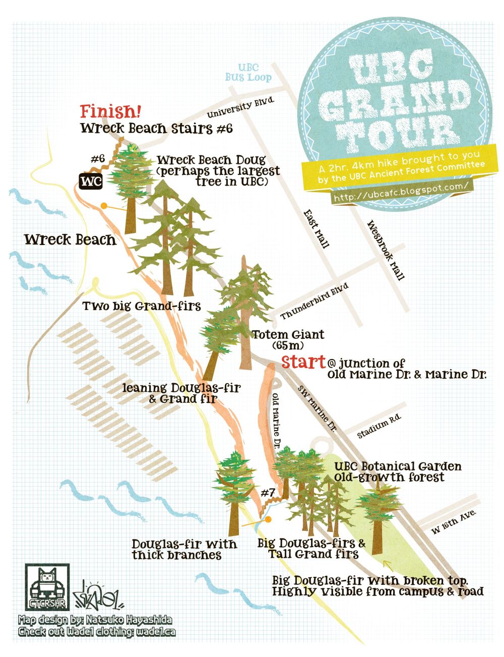 UBC’s forests and big trees | Vancouver Big Tree Hiking Guide