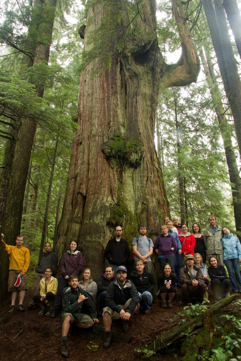 Vancouver Big Tree Hiking Guide | Your ecological, unbelievable, and ...