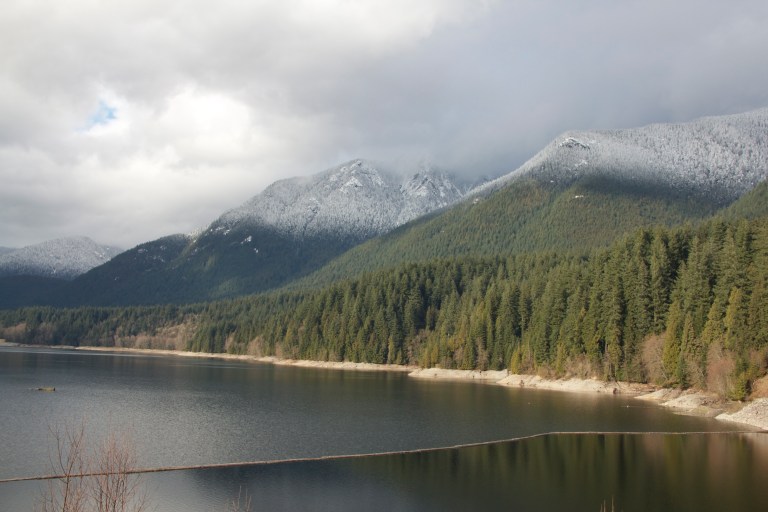 Capilano Canyon old-growth | Vancouver Big Tree Hiking Guide