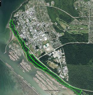 UBC’s forests and big trees | Vancouver Big Tree Hiking Guide