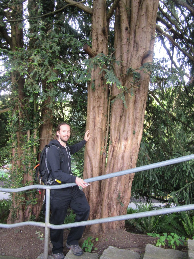 Queen Elizabeth Park’s tallest trees | Vancouver Big Tree Hiking Guide
